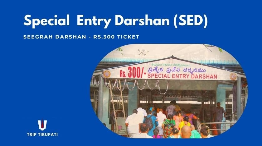 Special Darshans at Tirumala – Trip Tirupati